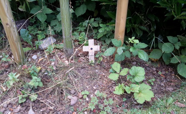 2019: Moseley Modern School Building Dedication | The Moseleians ...