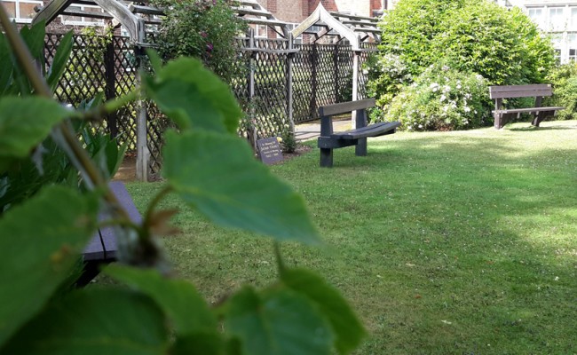 2019: Moseley Modern School Building Dedication | The Moseleians ...