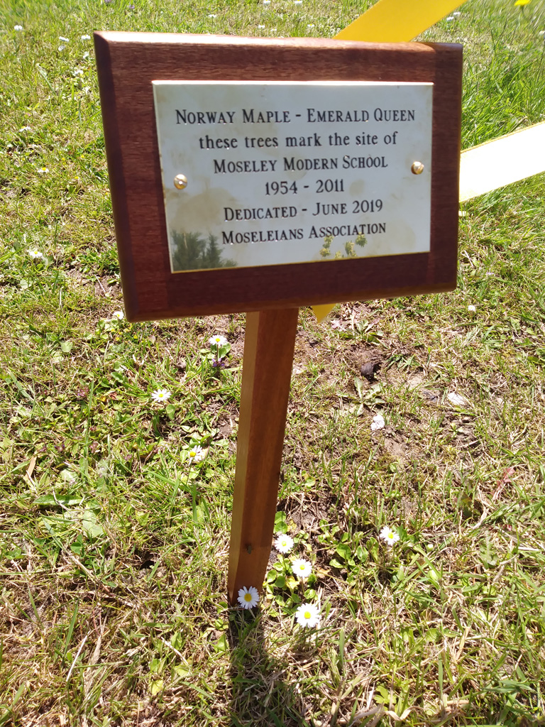 2019: Moseley Modern School Building Dedication | The Moseleians ...